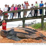 Deep-diving adaptations of Leatherback turtles | Deep Sea News