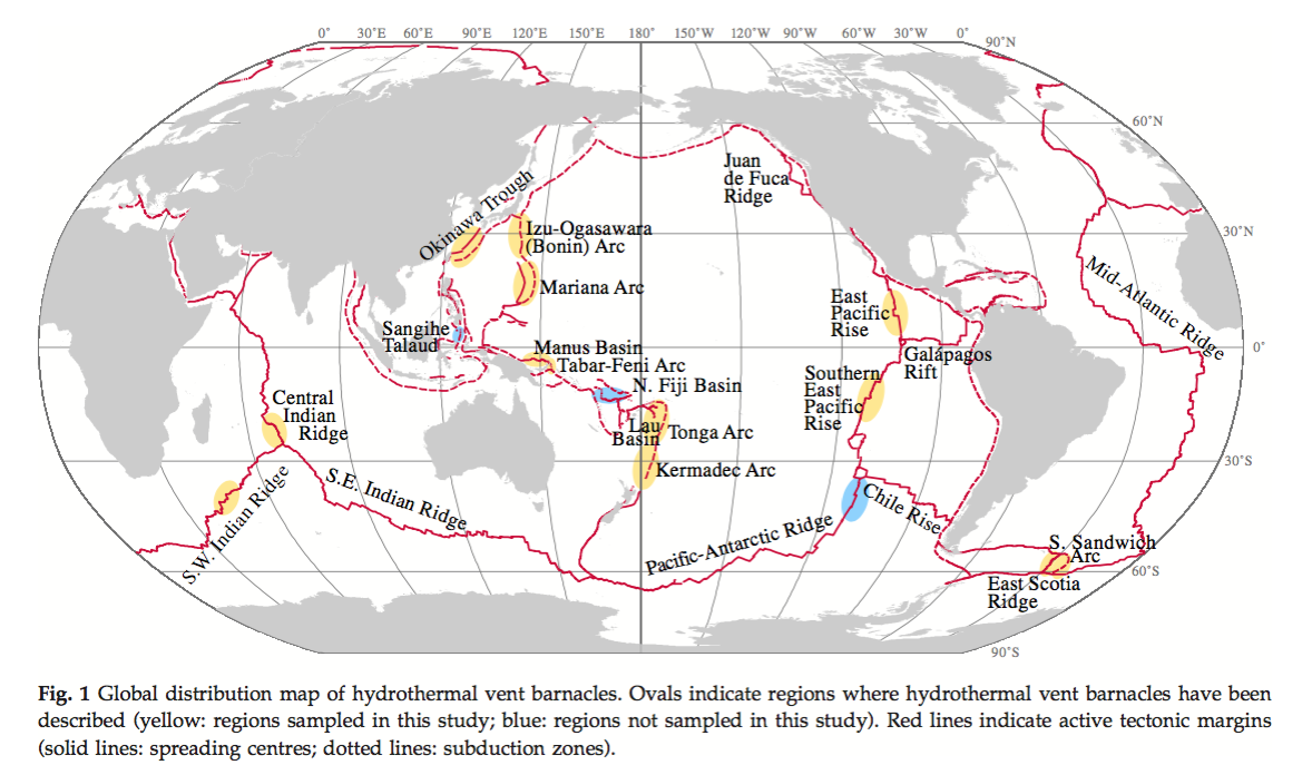 Deep-Sea Barnacle Genomics. Because, #DarwinDay | Deep Sea News