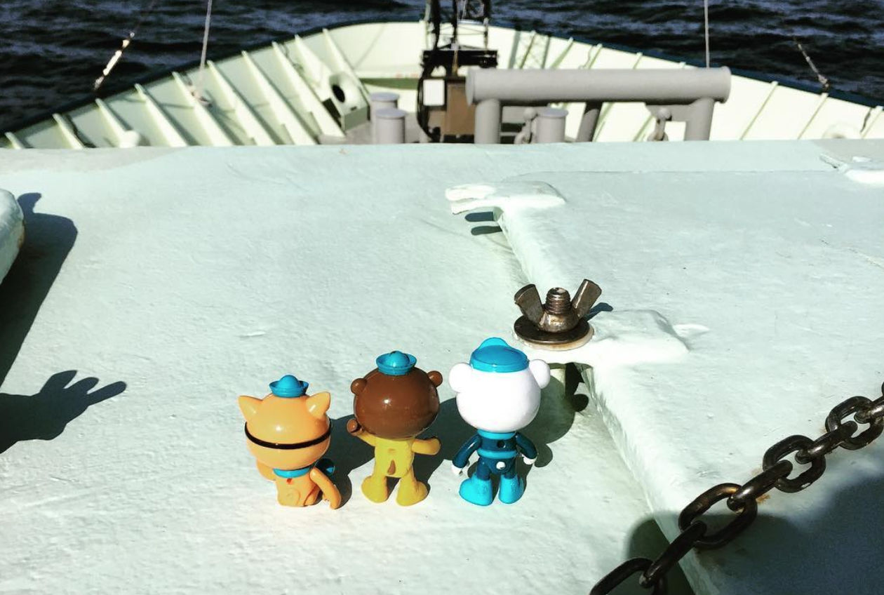 When real-life marine biologist and mom goes to sea, she takes the ...